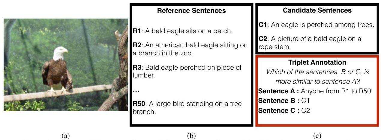 CIDEr: Consensus-based Image Description Evaluation | alphaXiv