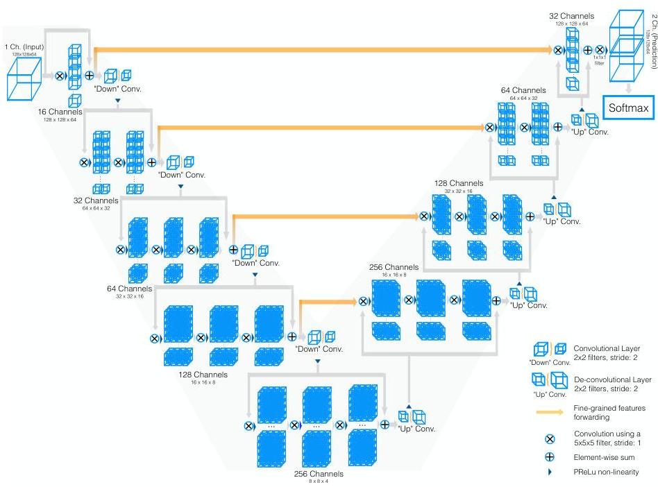 V-Net: Fully Convolutional Neural Networks for Volumetric Medical Image ...