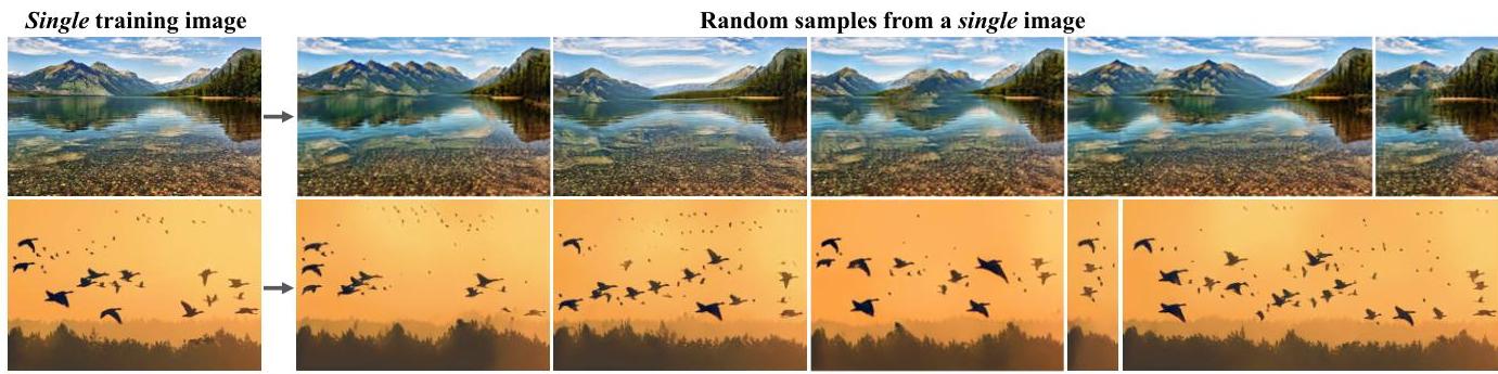 SinGAN: Learning a Generative Model from a Single Natural Image | alphaXiv