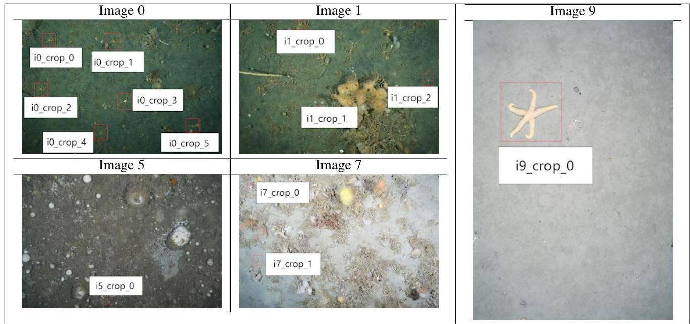 Pre-processing Image using Brightening, CLAHE and RETINEX | alphaXiv