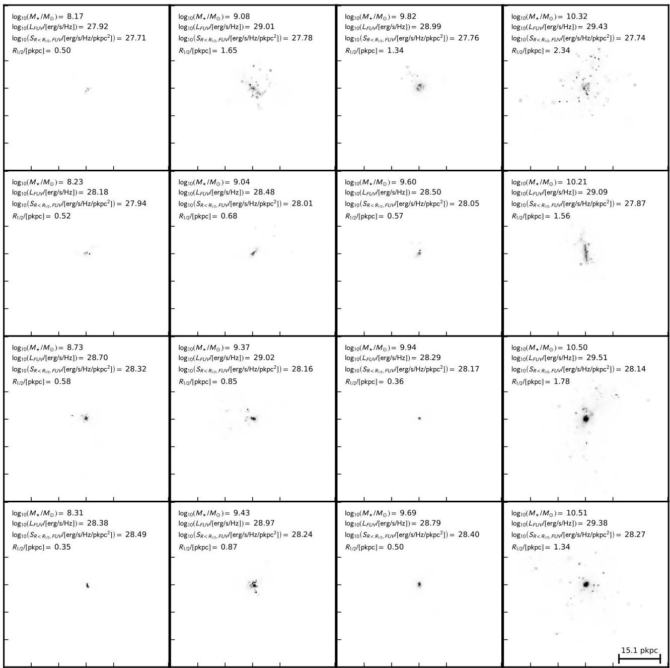 First Light And Reionisation Epoch Simulations (FLARES) IV: The size ...