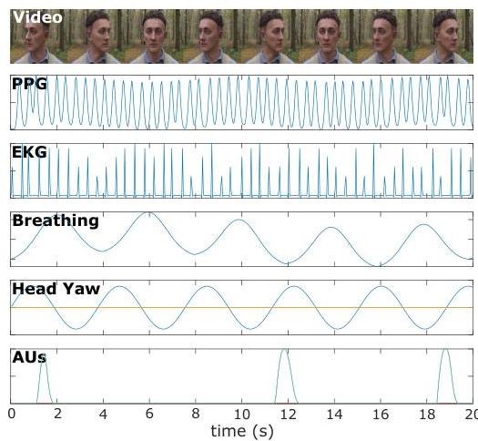 SCAMPS: Synthetics for Camera Measurement of Physiological Signals ...