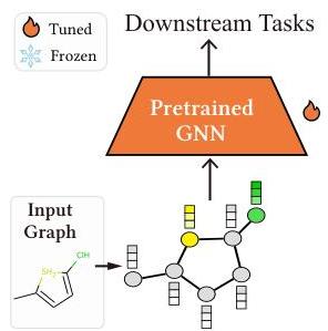 Universal Prompt Tuning for Graph Neural Networks | alphaXiv