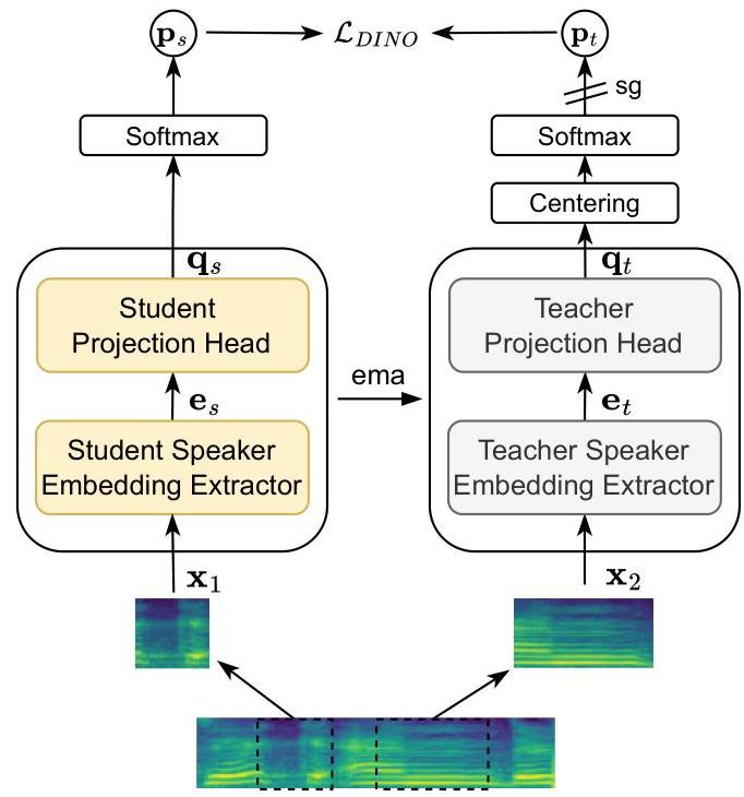 A comprehensive study on self-supervised distillation for speaker ...