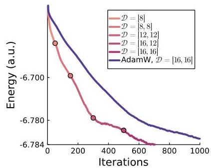 A Multilevel Method for Many-Electron Schrödinger Equations Based on ...