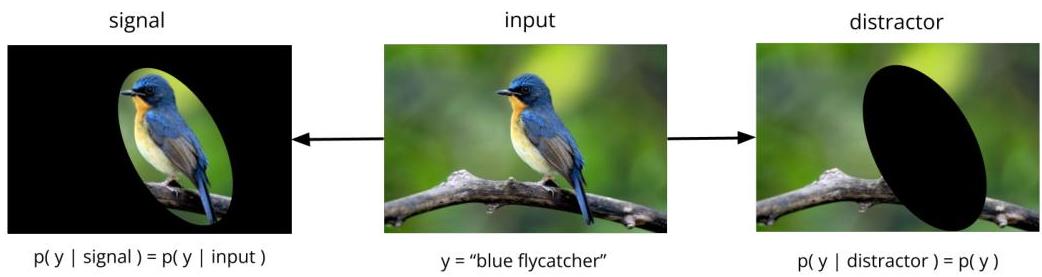 Which Models have Perceptually-Aligned Gradients? An Explanation via ...