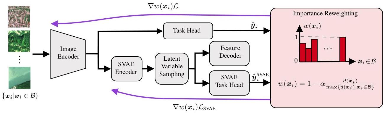 Label Noise Robust Image Representation Learning based on Supervised ...