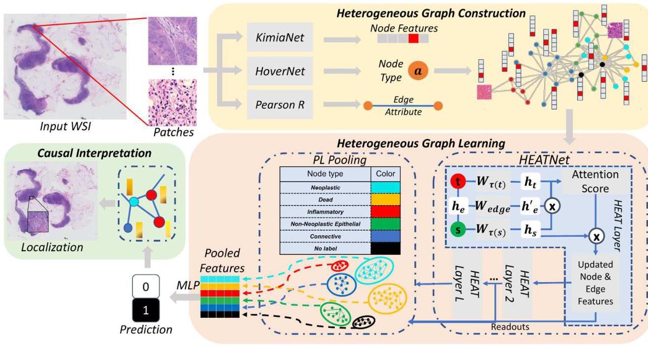 Histopathology Whole Slide Image Analysis with Heterogeneous Graph ...