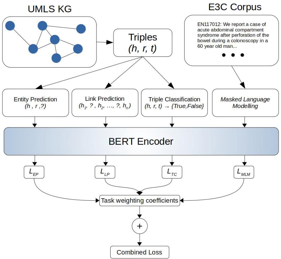 UMLS-KGI-BERT: Data-Centric Knowledge Integration in Transformers for ...