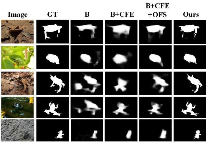 Collaborative Camouflaged Object Detection: A Large-Scale Dataset and Benchmark | alphaXiv