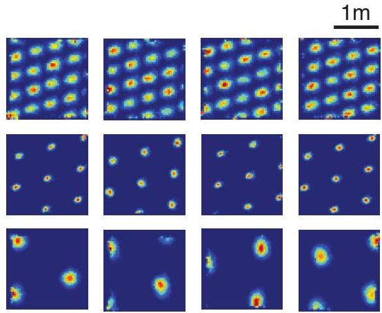 Self-Supervised Learning of Representations for Space Generates Multi ...