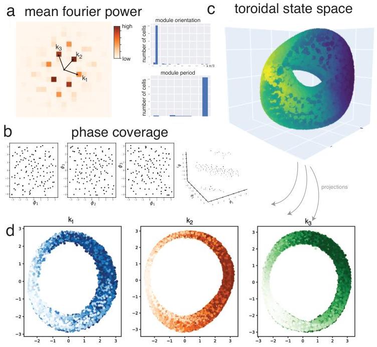 Self-Supervised Learning of Representations for Space Generates Multi ...