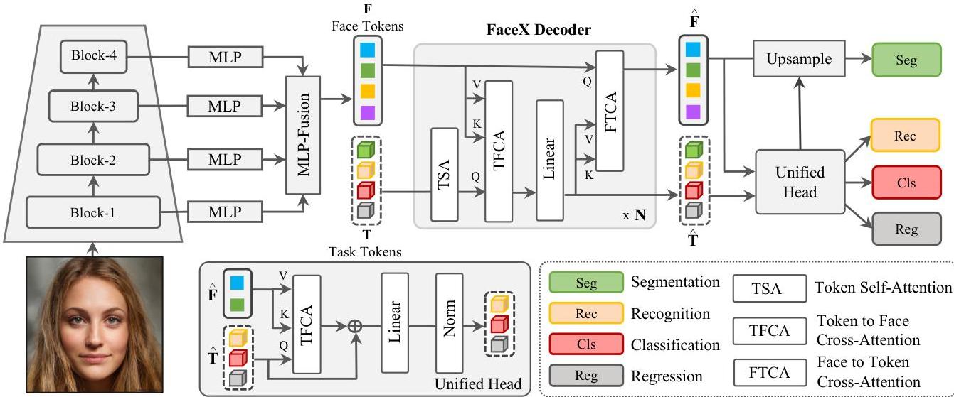 FaceXFormer: A Unified Transformer for Facial Analysis | alphaXiv