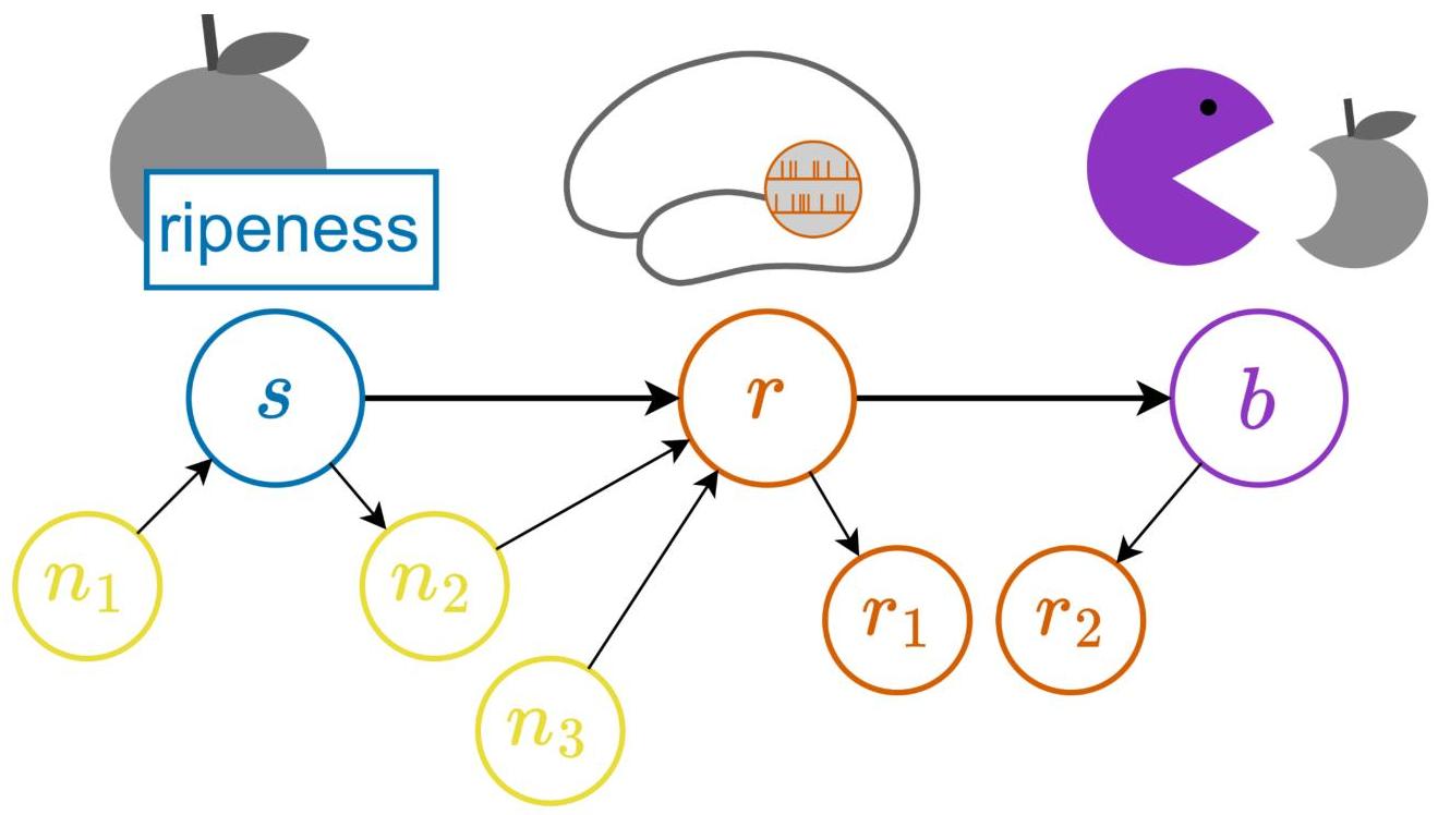 Clarifying the conceptual dimensions of representation in neuroscience ...