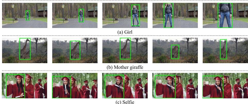Elysium: Exploring Object-level Perception in Videos via MLLM | alphaXiv