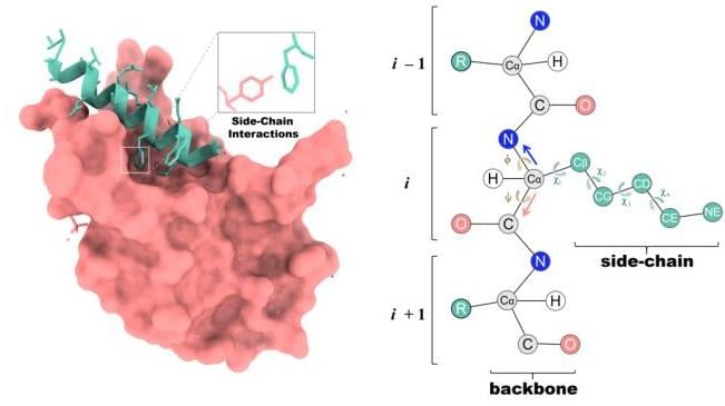 Full-Atom Peptide Design based on Multi-modal Flow Matching | alphaXiv