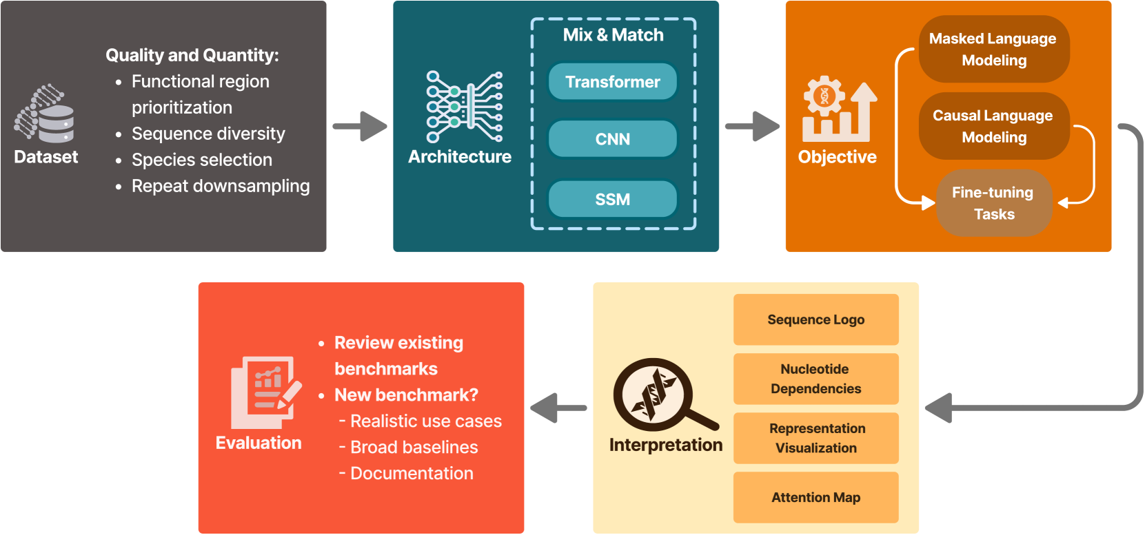 Genomic Language Models: Opportunities and Challenges | alphaXiv