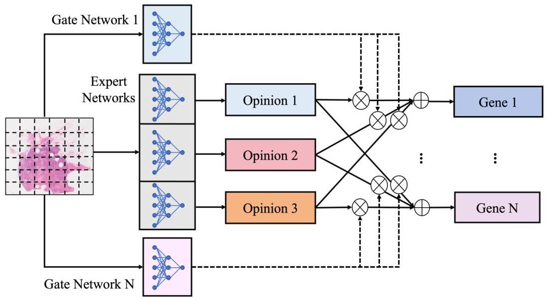 M4: Multi-Proxy Multi-Gate Mixture of Experts Network for Multiple ...