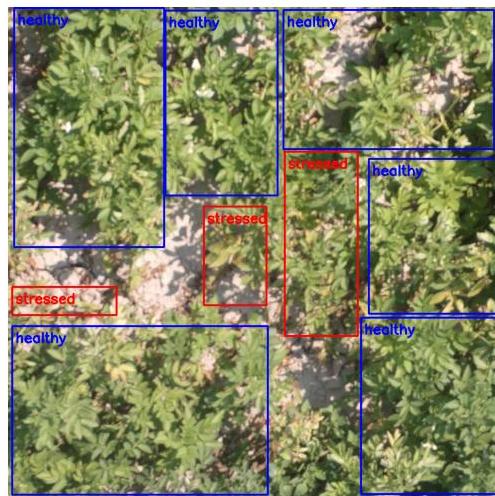 An Explainable Vision Transformer with Transfer Learning Combined with ...