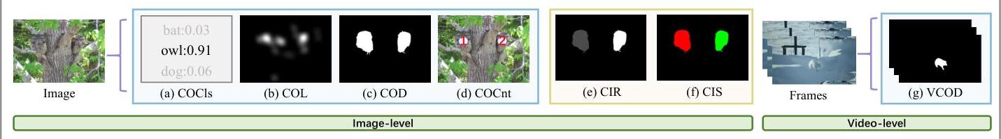 A Survey of Camouflaged Object Detection and Beyond | alphaXiv