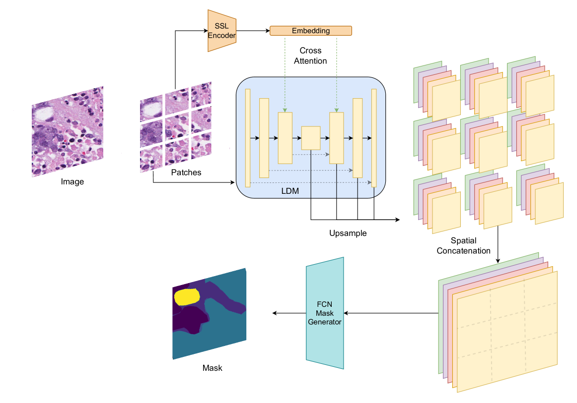 PathSegDiff: Pathology Segmentation using Diffusion model representations | alphaXiv