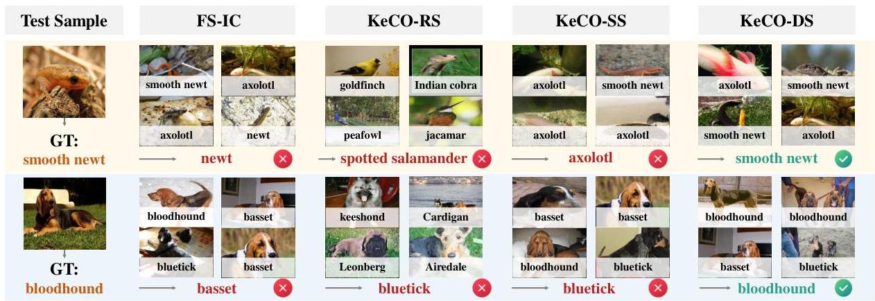 Enhancing Multimodal In-Context Learning for Image Classification ...