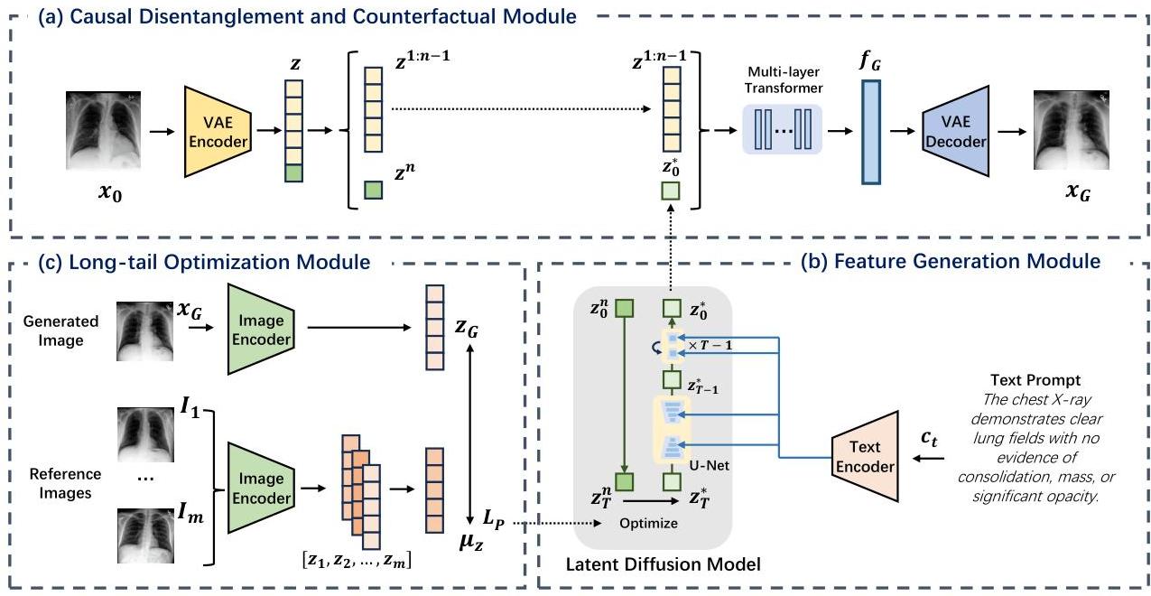 Causal Disentanglement for Robust Long-tail Medical Image Generation ...