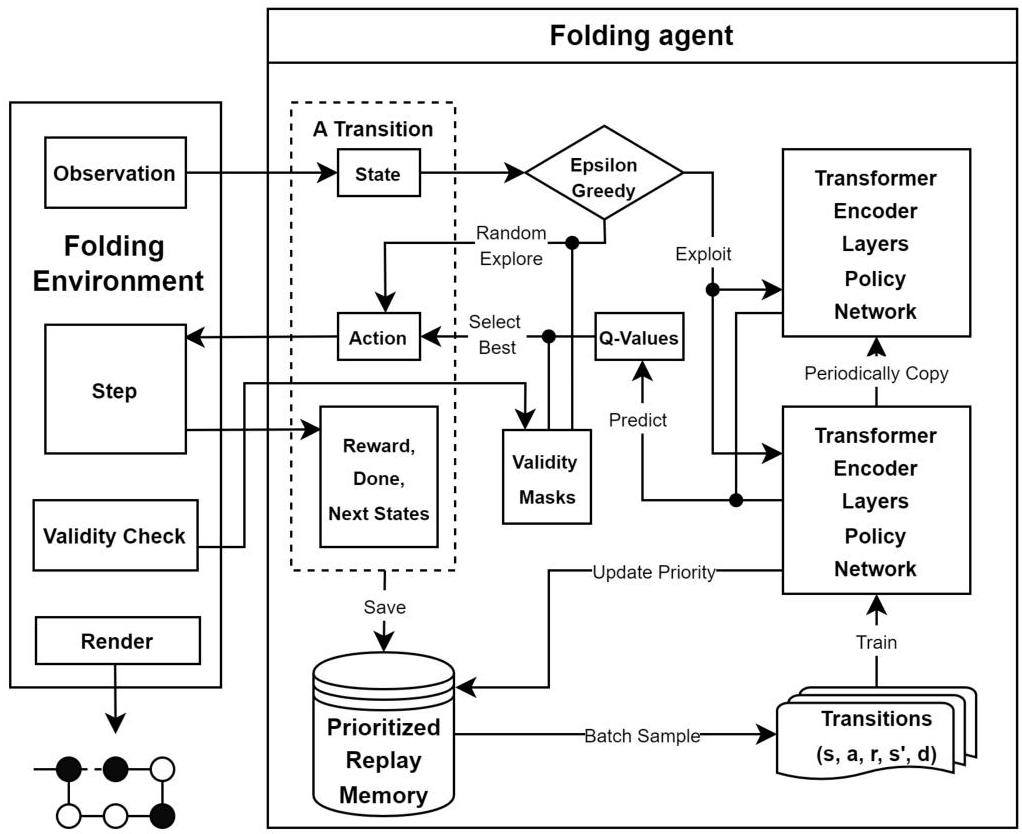 Enhancing Reinforcement learning in 3-Dimensional Hydrophobic-Polar ...