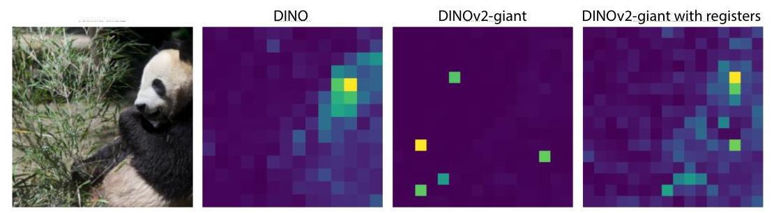 Register and [CLS] tokens yield a decoupling of local and global ...