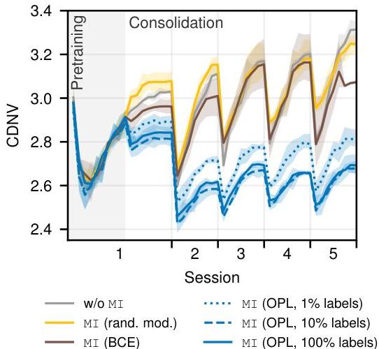 Contrastive Consolidation of Top-Down Modulations Achieves Sparsely ...