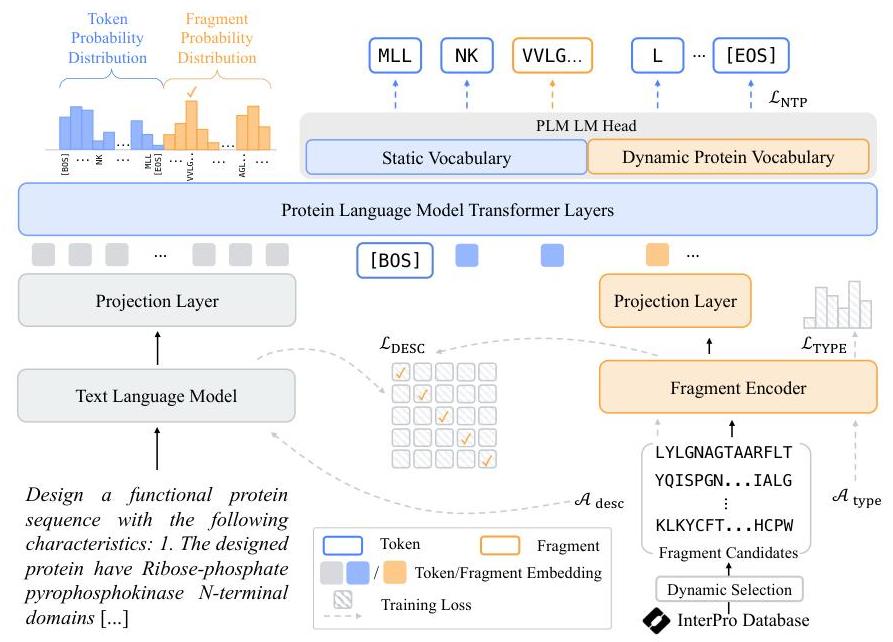 Protein Design with Dynamic Protein Vocabulary | alphaXiv