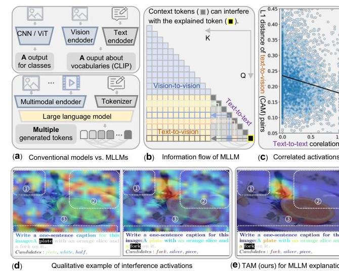 Token Activation Map to Visually Explain Multimodal LLMs | alphaXiv