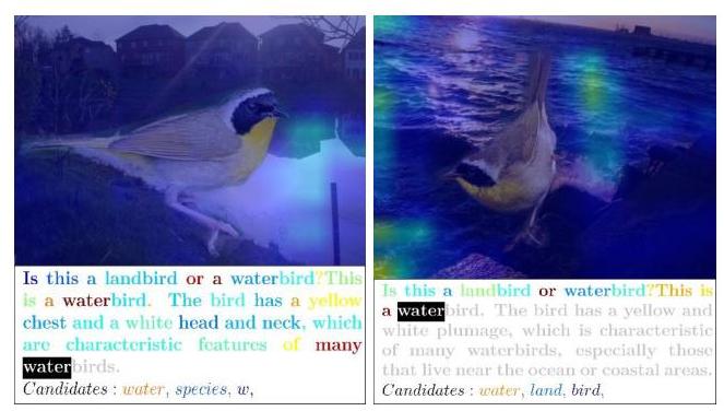 Token Activation Map to Visually Explain Multimodal LLMs | alphaXiv