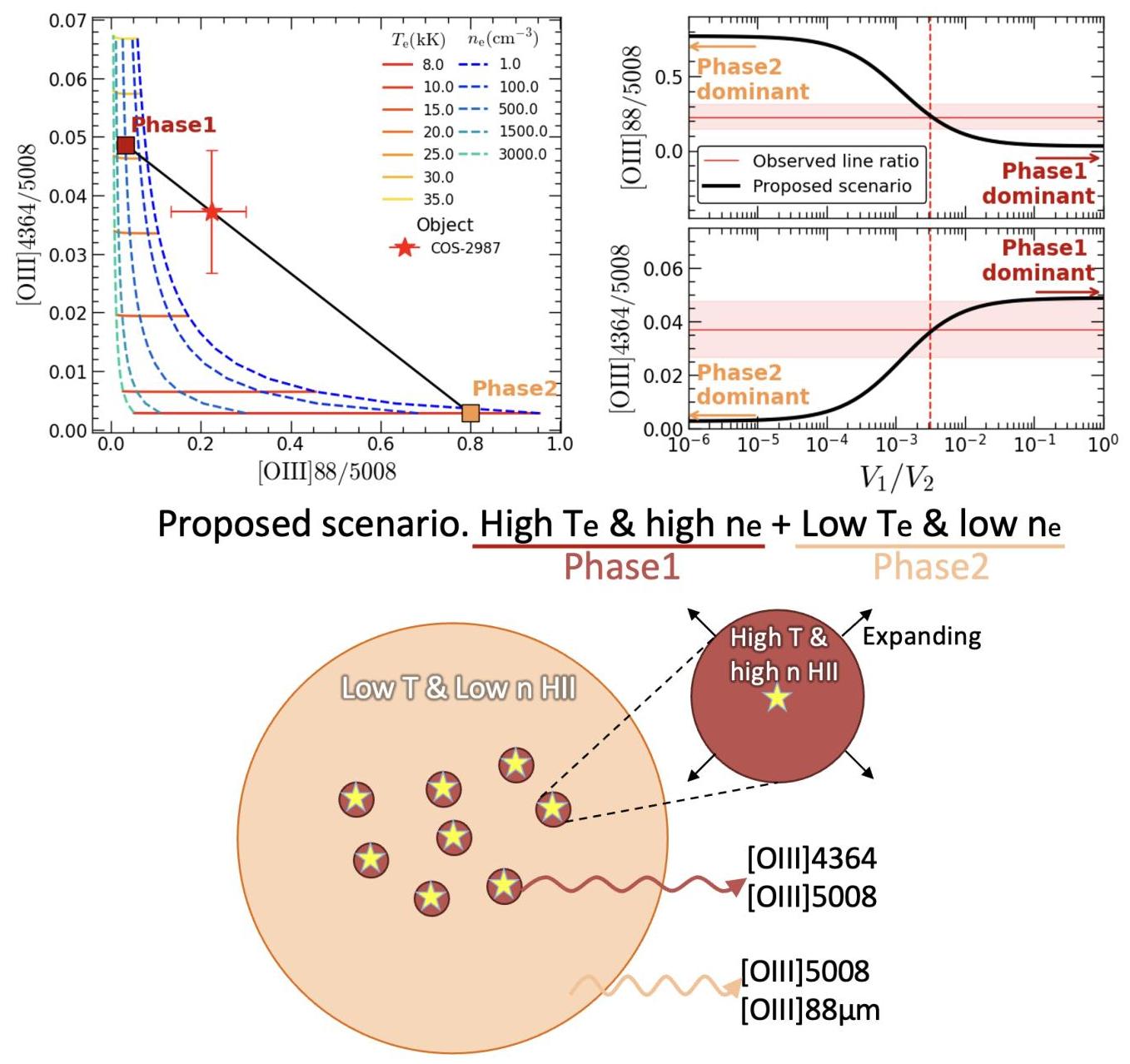RIOJA. JWST and ALMA unveil the inhomogeneous and complex ISM structure in a star-forming galaxy ...
