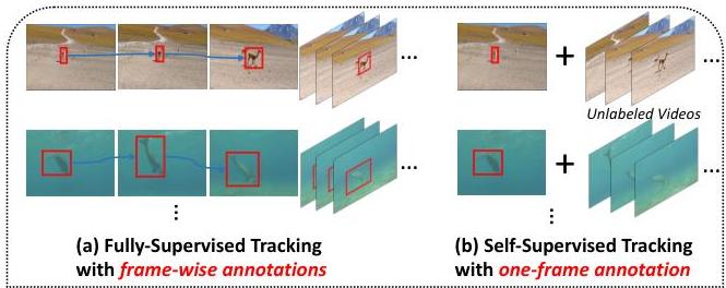 Decoupled Spatio-Temporal Consistency Learning for Self-Supervised ...