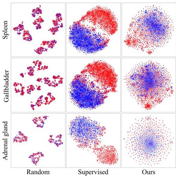 Boosting Vision Semantic Density with Anatomy Normality Modeling for ...