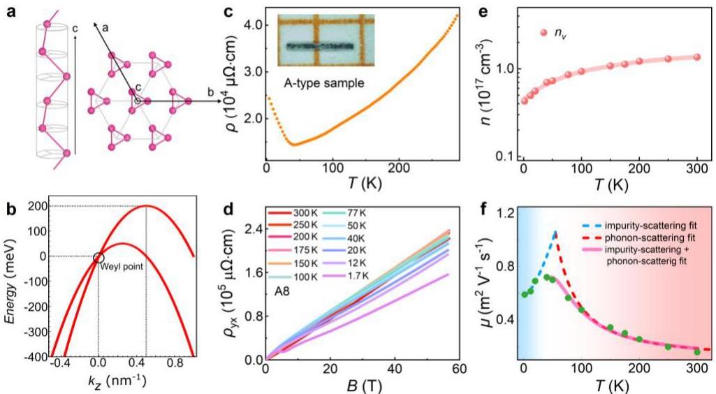 Phonon-scattering-induced quantum linear magnetoresistance up to room ...