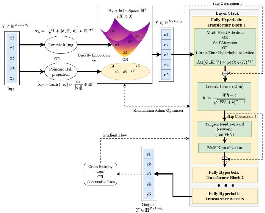 Hyperbolic Large Language Models | alphaXiv