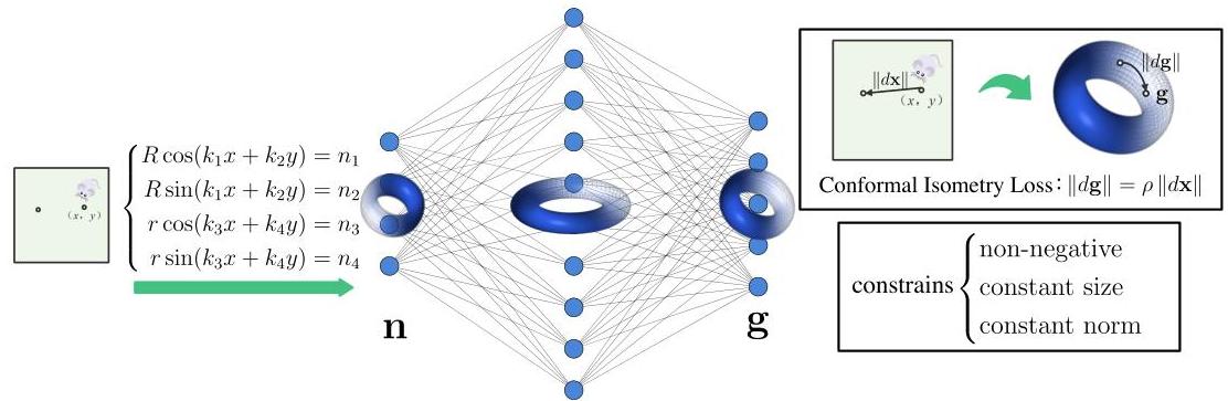 The Principle of Isomorphism: A Theory of Population Activity in Grid ...