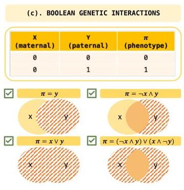 HypoSpace: Evaluating LLM Creativity as Set-Valued Hypothesis ...