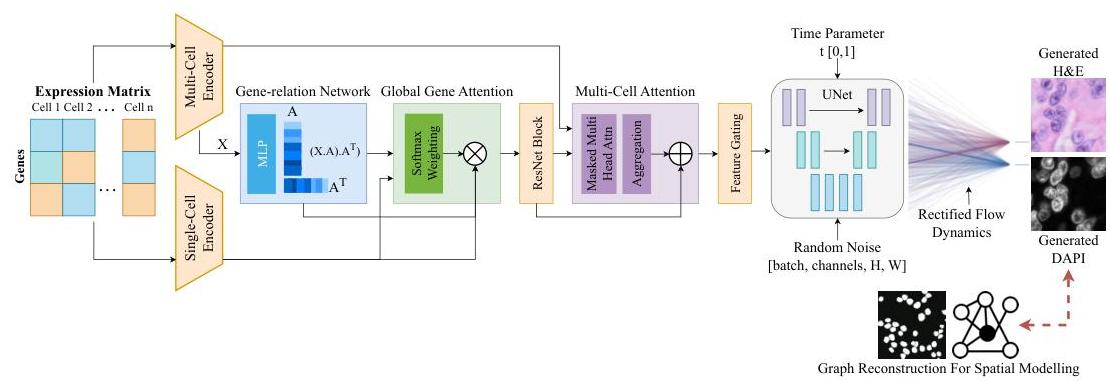 GeneFlow: Translation of Single-cell Gene Expression to ...