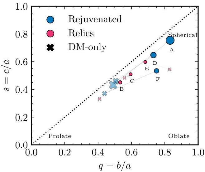 Co-evolution of baryons and dark matter halos of LYRA dwarf galaxies ...