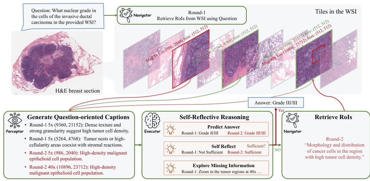 PathAgent: Toward Interpretable Analysis of Whole-slide Pathology ...