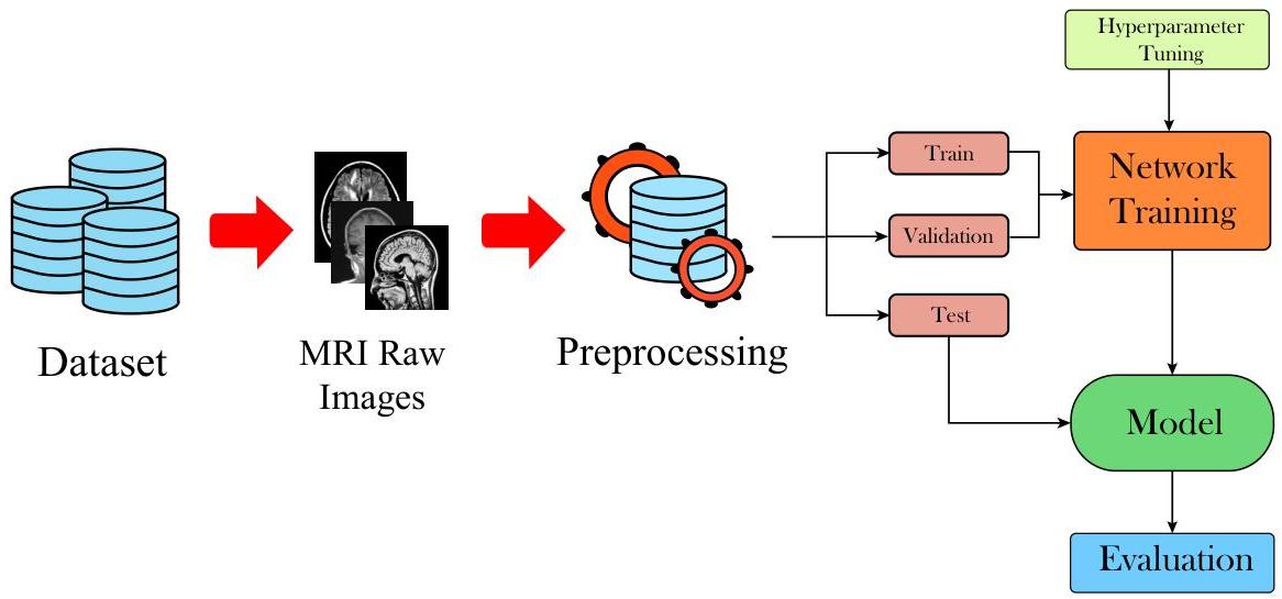 Novel Deep Learning Architectures for Classification and Segmentation of Brain Tumors from MRI ...