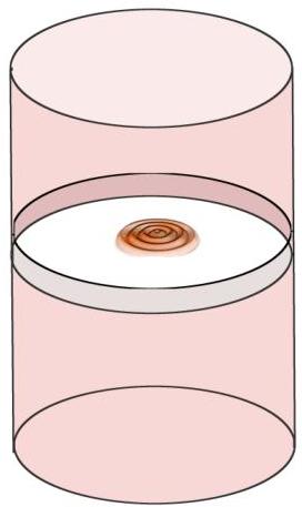 The Fate of Information Localizability and Holography in Quantum ...