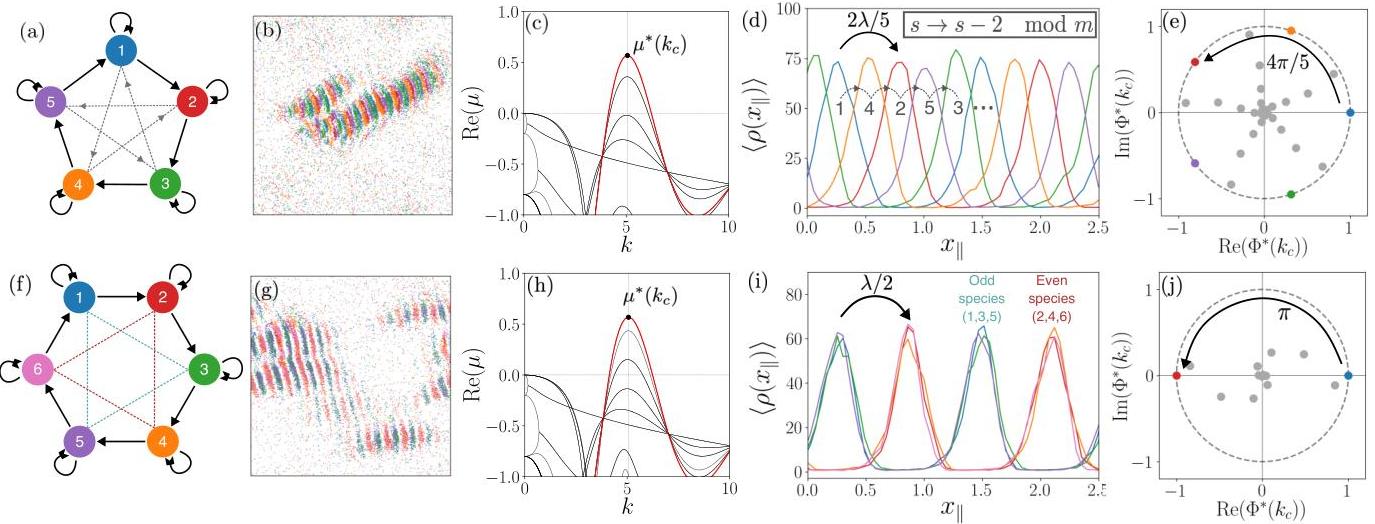 Kinetic theory of pattern formation in a generalized multi-species ...