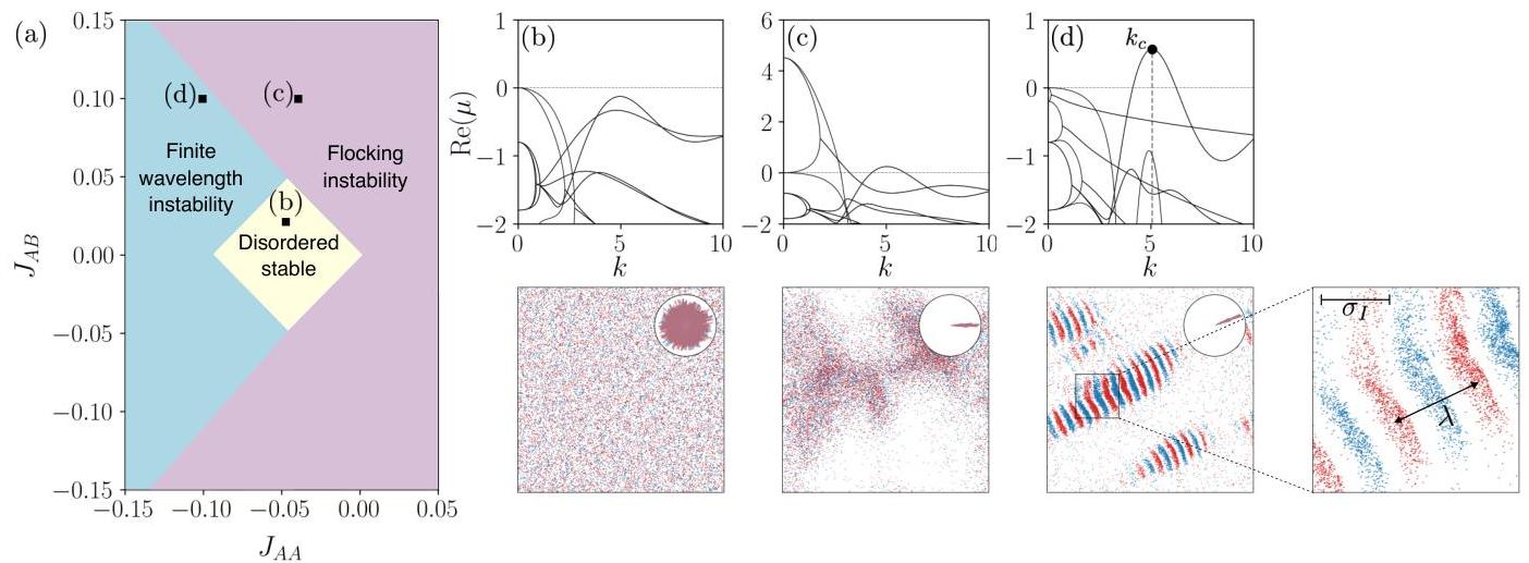 Kinetic theory of pattern formation in a generalized multi-species ...