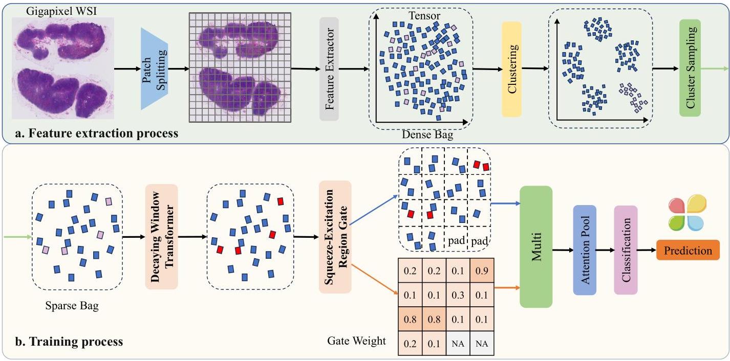 WSD-MIL: Window Scale Decay Multiple Instance Learning for Whole Slide ...