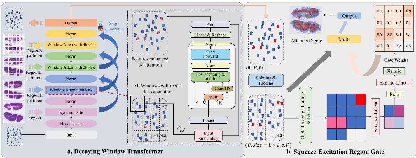 WSD-MIL: Window Scale Decay Multiple Instance Learning for Whole Slide ...