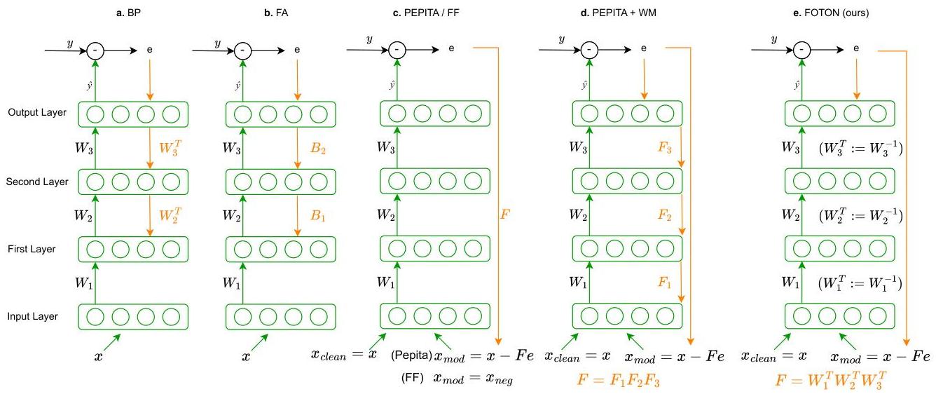 Forward Only Learning for Orthogonal Neural Networks of any Depth ...